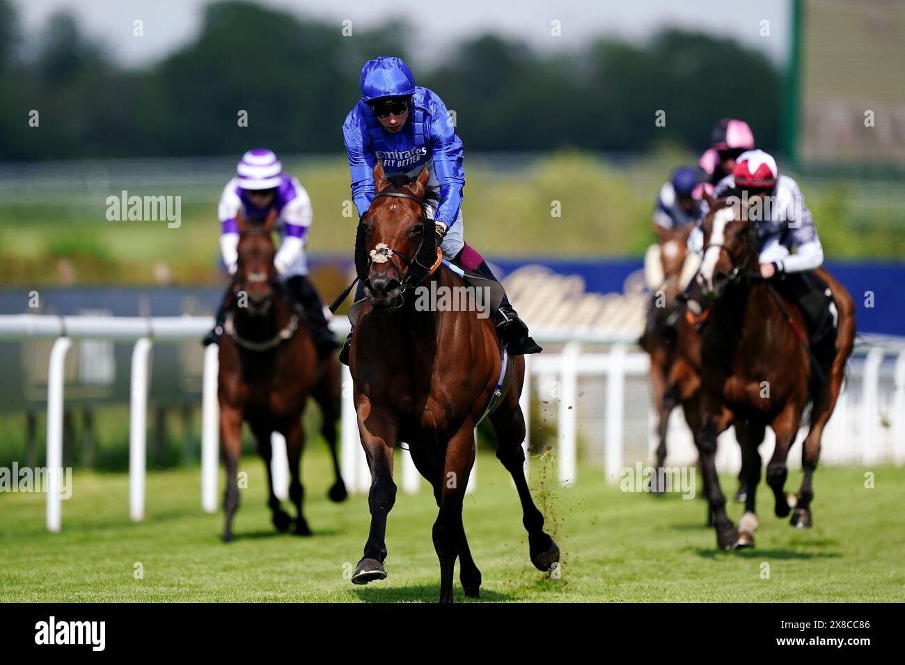 William hill epic boost handicap hi-res stock photography and images ...