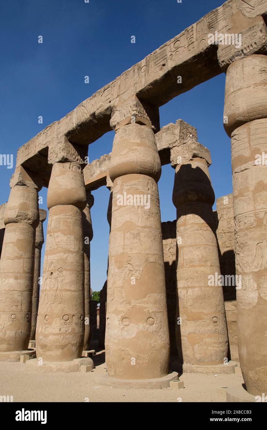 Columns in the Court of Ramses II, Luxor Temple, Luxor, Egypt Stock ...