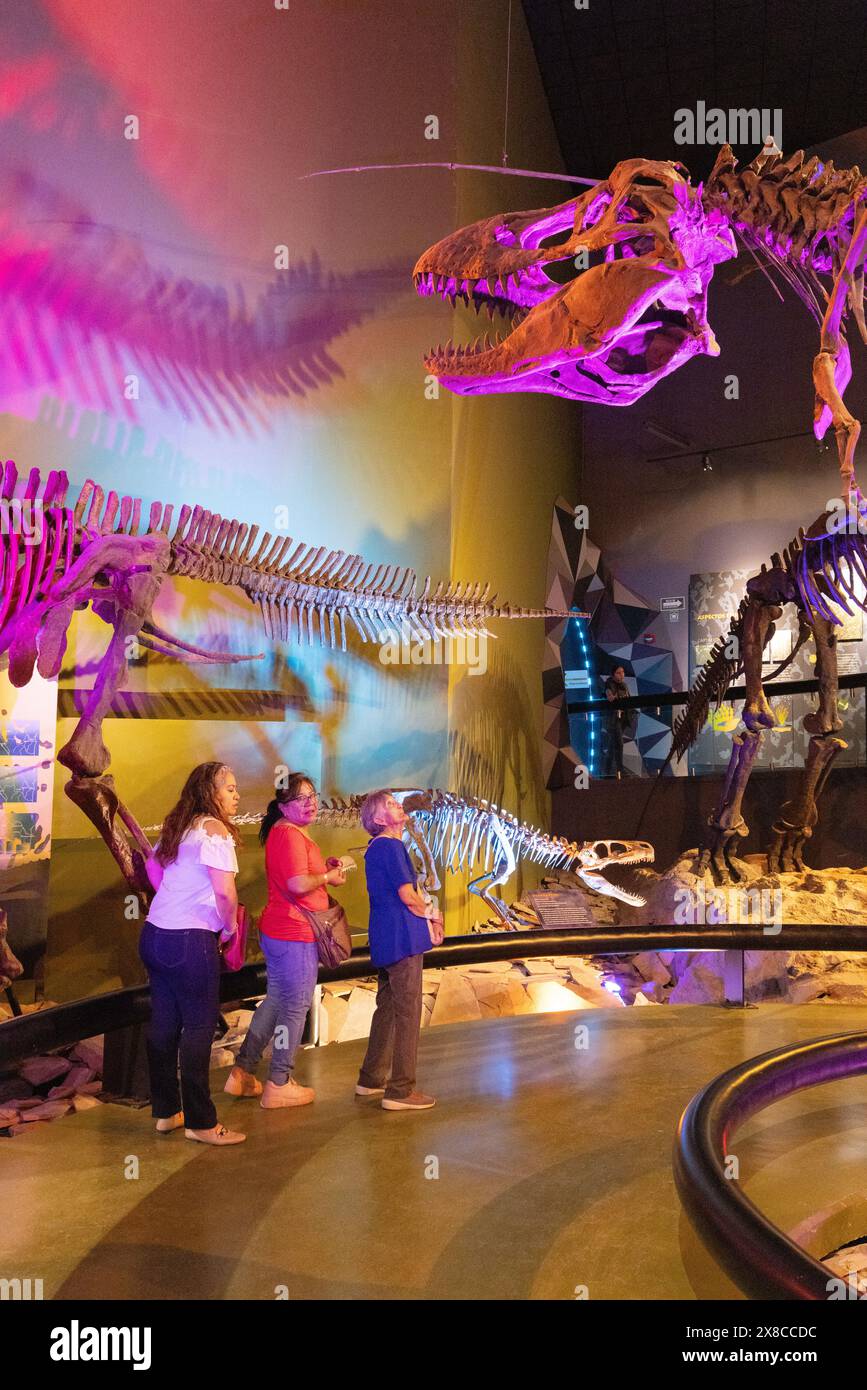 Dinosaur fossils desert hi-res stock photography and images - Alamy