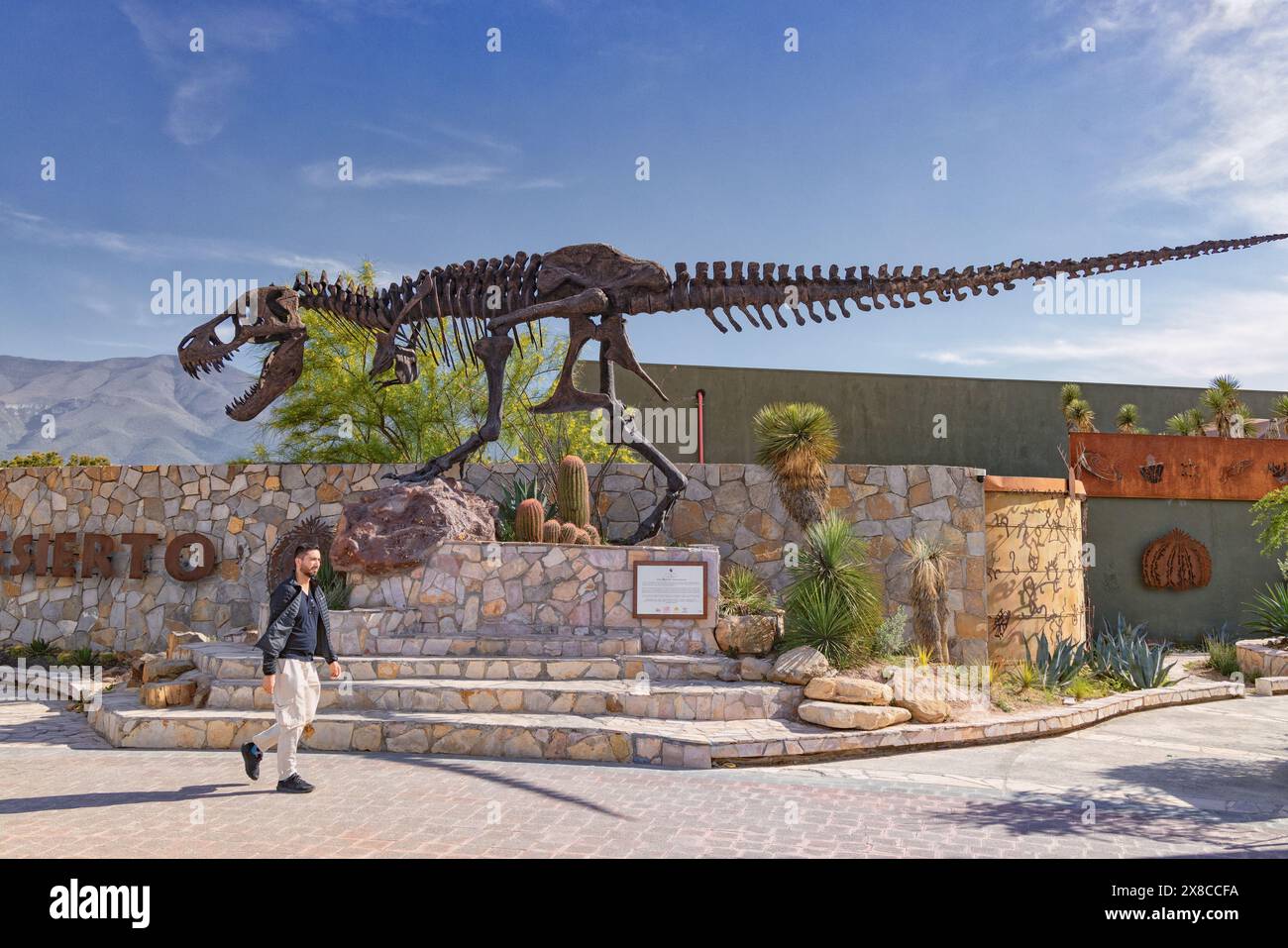 Museo Del Desierto Logo