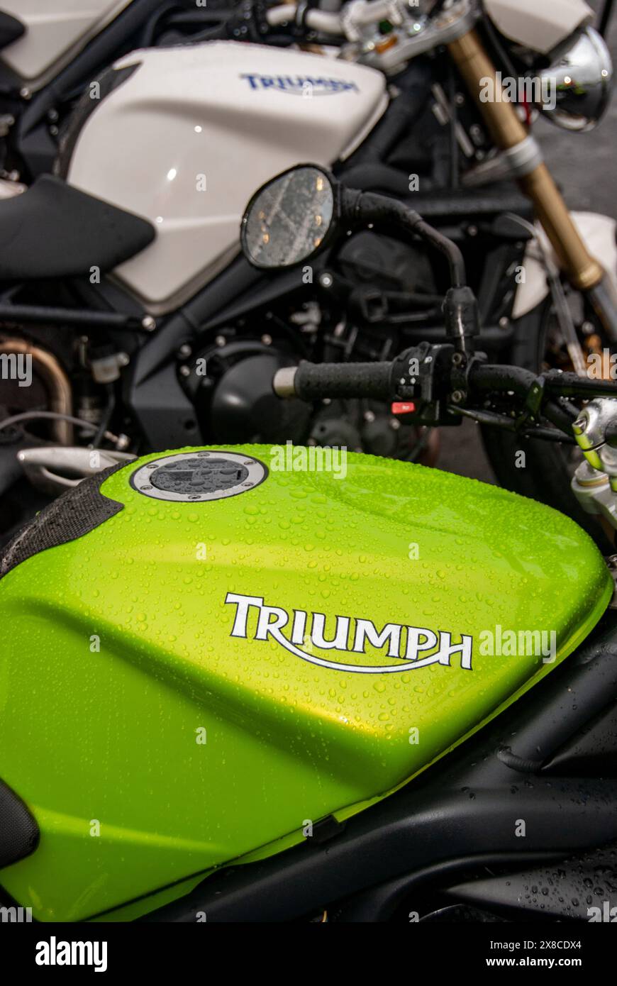 Line up of Triumph motorcycles Stock Photo - Alamy