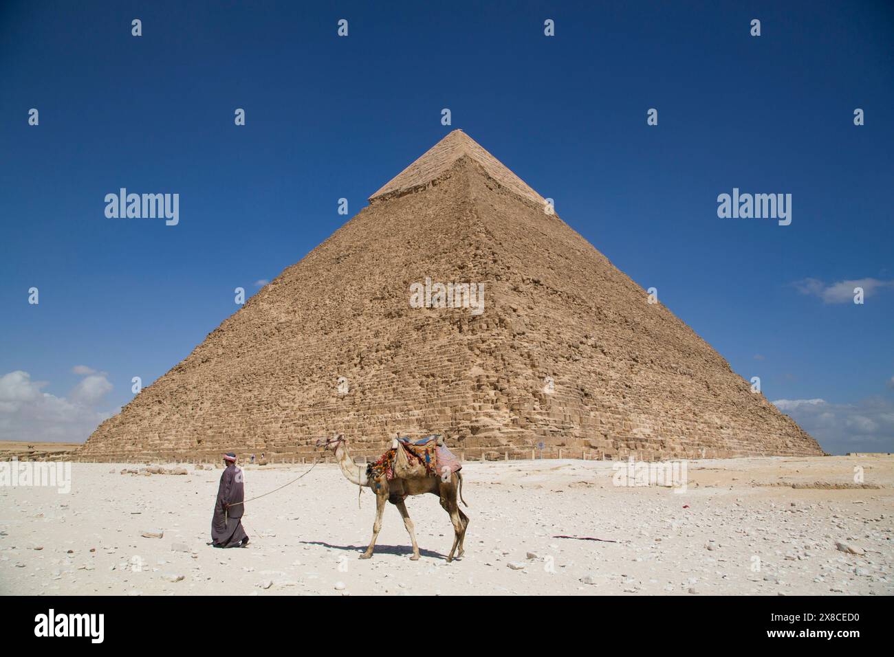 Local man Walking His Camel, Pyramid of Chephren (background), The Giza ...