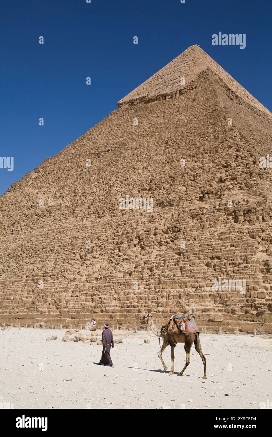 Local man Walking His Camel, Pyramid of Chephren (background), The Giza ...