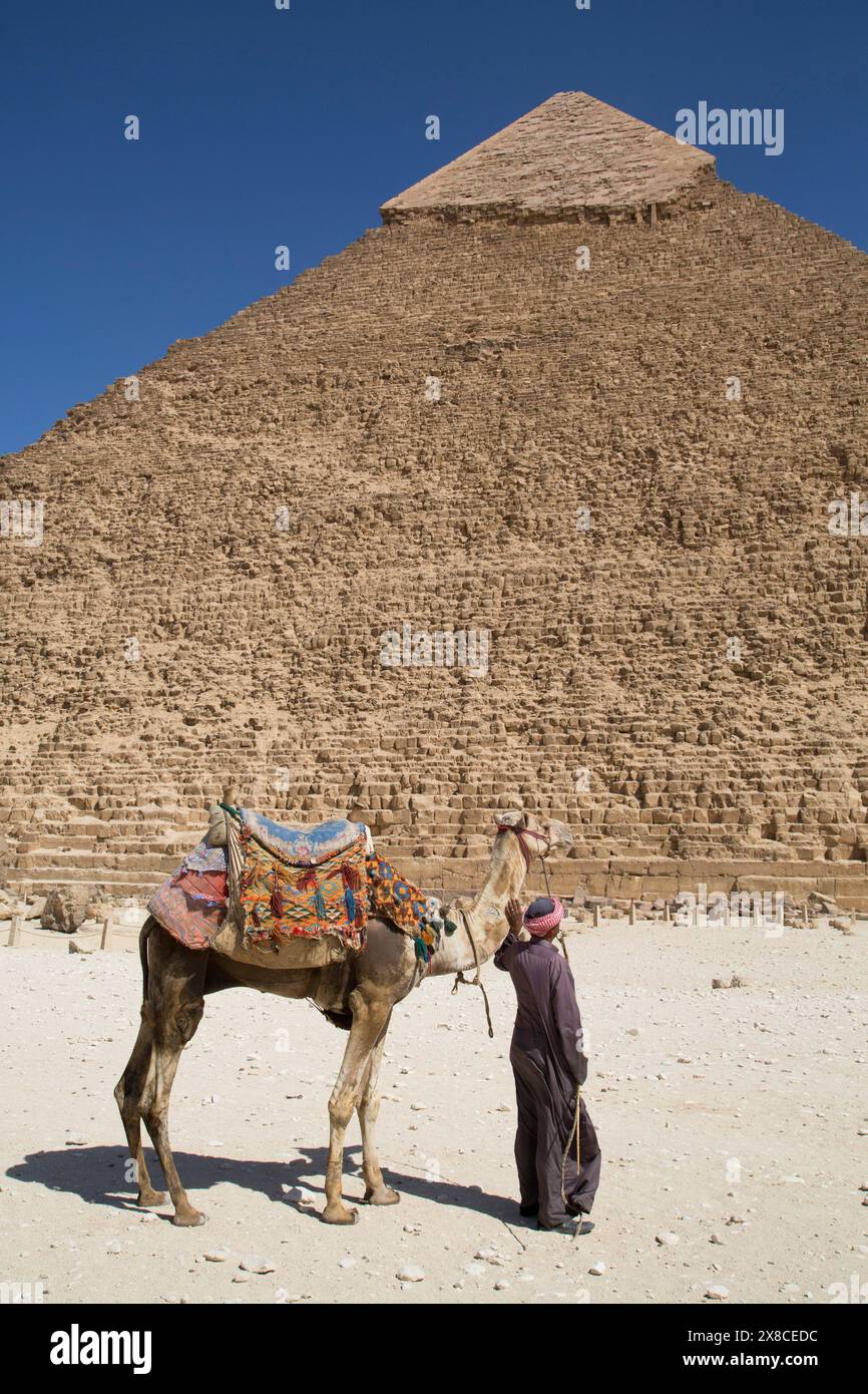 Local man Walking His Camel, Pyramid of Chephren (background), The Giza ...