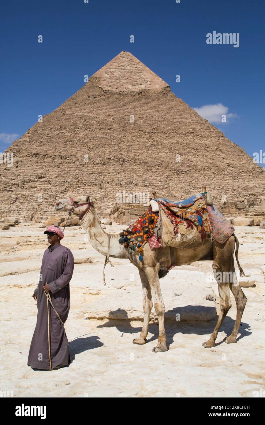 Local man With His Camel, Pyramid of Chephren (background), The Giza ...