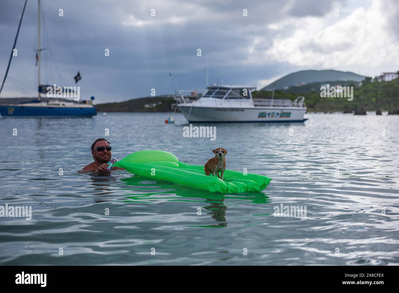 St. Thomas, US Virgin Islands - September 14, 2016: Small island dog ...