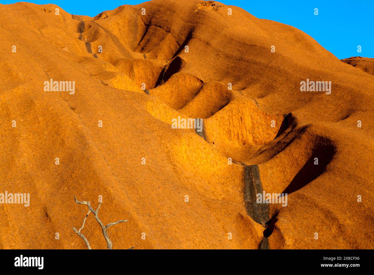Close-up of a water-eroded section of Uluru, in the Uluṟu-Kata Tjuṯa ...