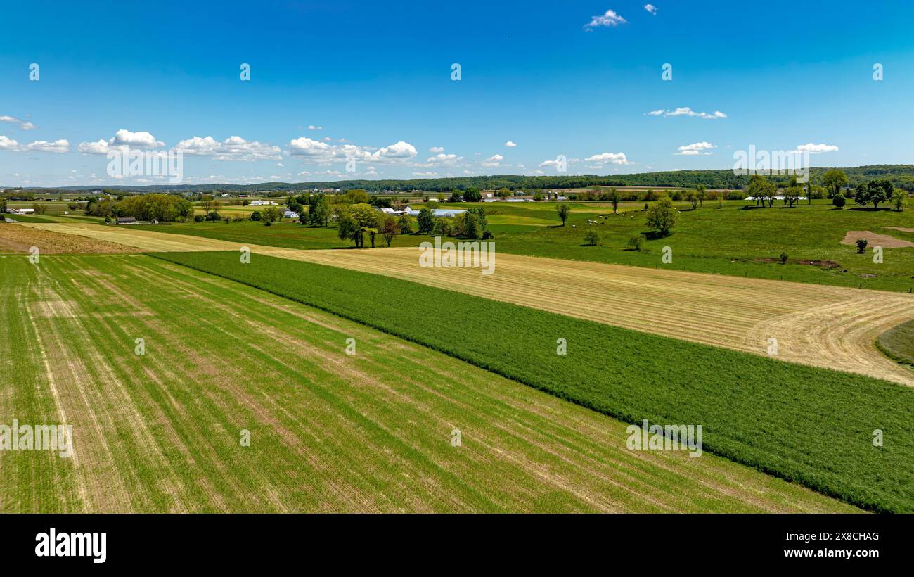 A striking aerial photograph capturing a tapestry of agricultural ...