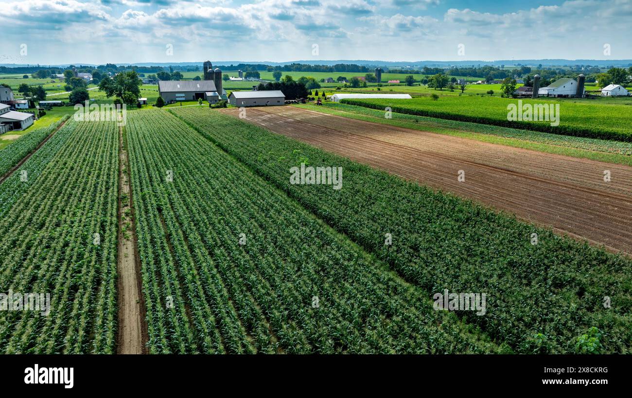 An Aerial View of Lush Farmland with Crops and Barns Stock Photo - Alamy