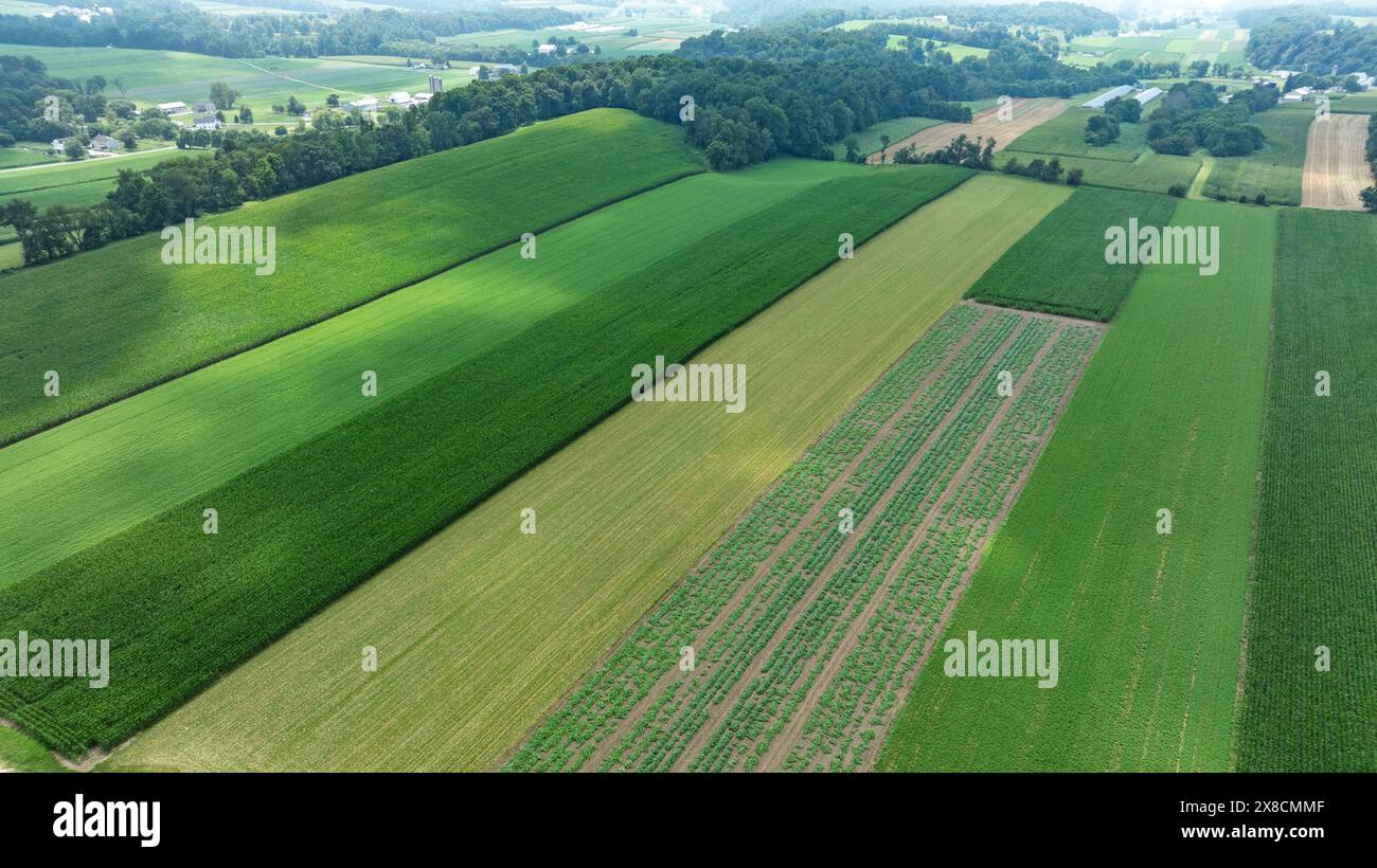 An Aerial View of Vibrant Farmlands and Rolling Hills Stock Photo - Alamy