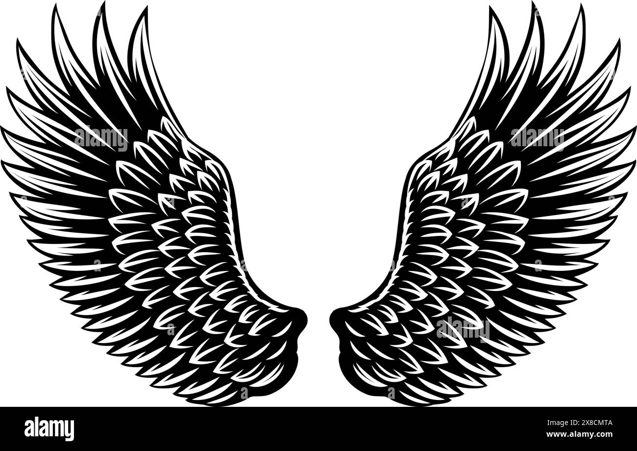 Eagles outstretched wings Black and White Stock Photos & Images - Alamy