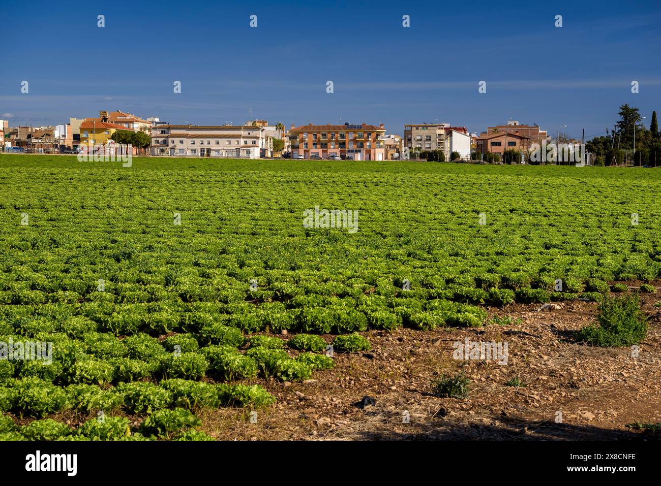 Villaggio al delta hi-res stock photography and images - Alamy
