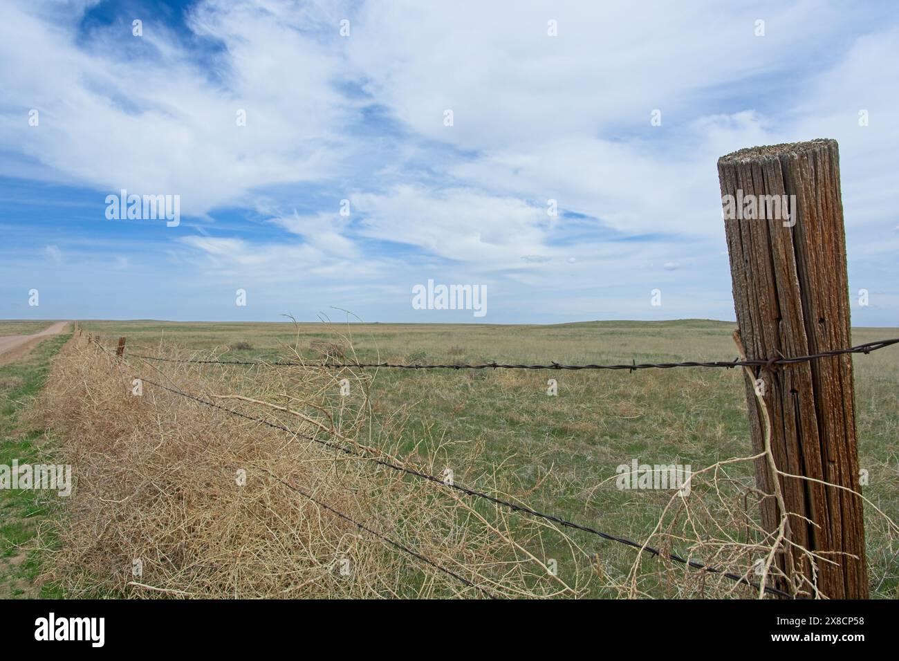 Line of wire fence posts run parallel to unpaved road through open ...