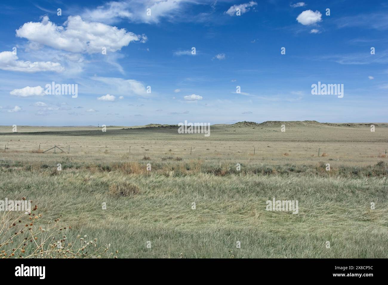 Bluff rises over open prairie at Pawnee National Grassland Stock Photo ...