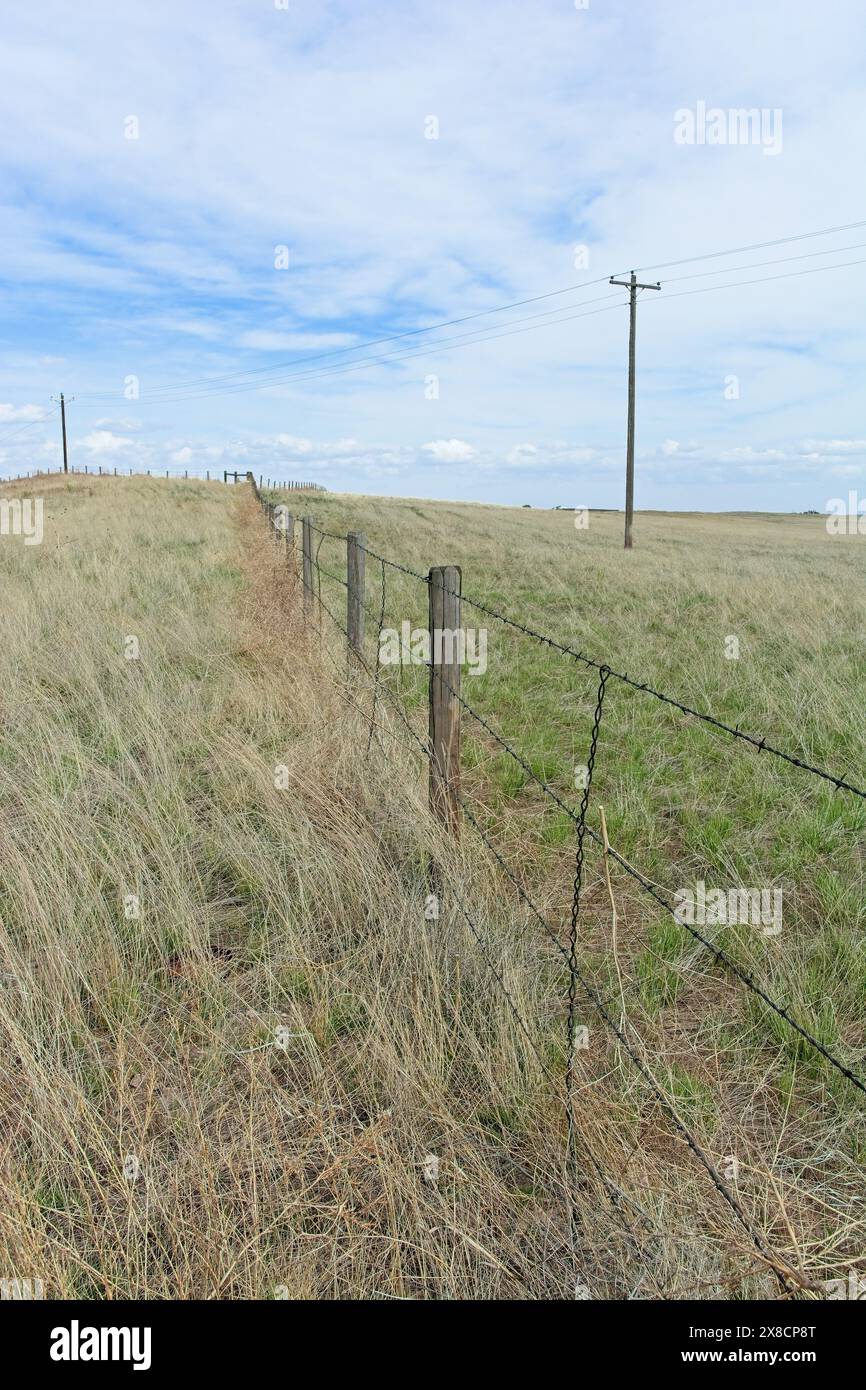 Wire fence and utility poles over open prairie at Pawnee National ...
