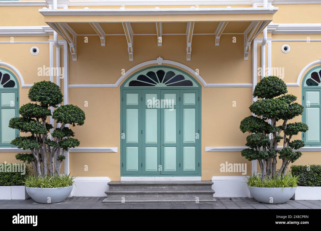 Ficus bonsai multi heads hi-res stock photography and images - Alamy