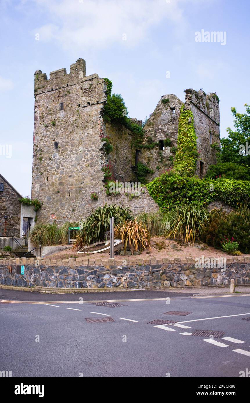 The abandoned and derilict castle at Portaferry, Northern Ireland Stock ...