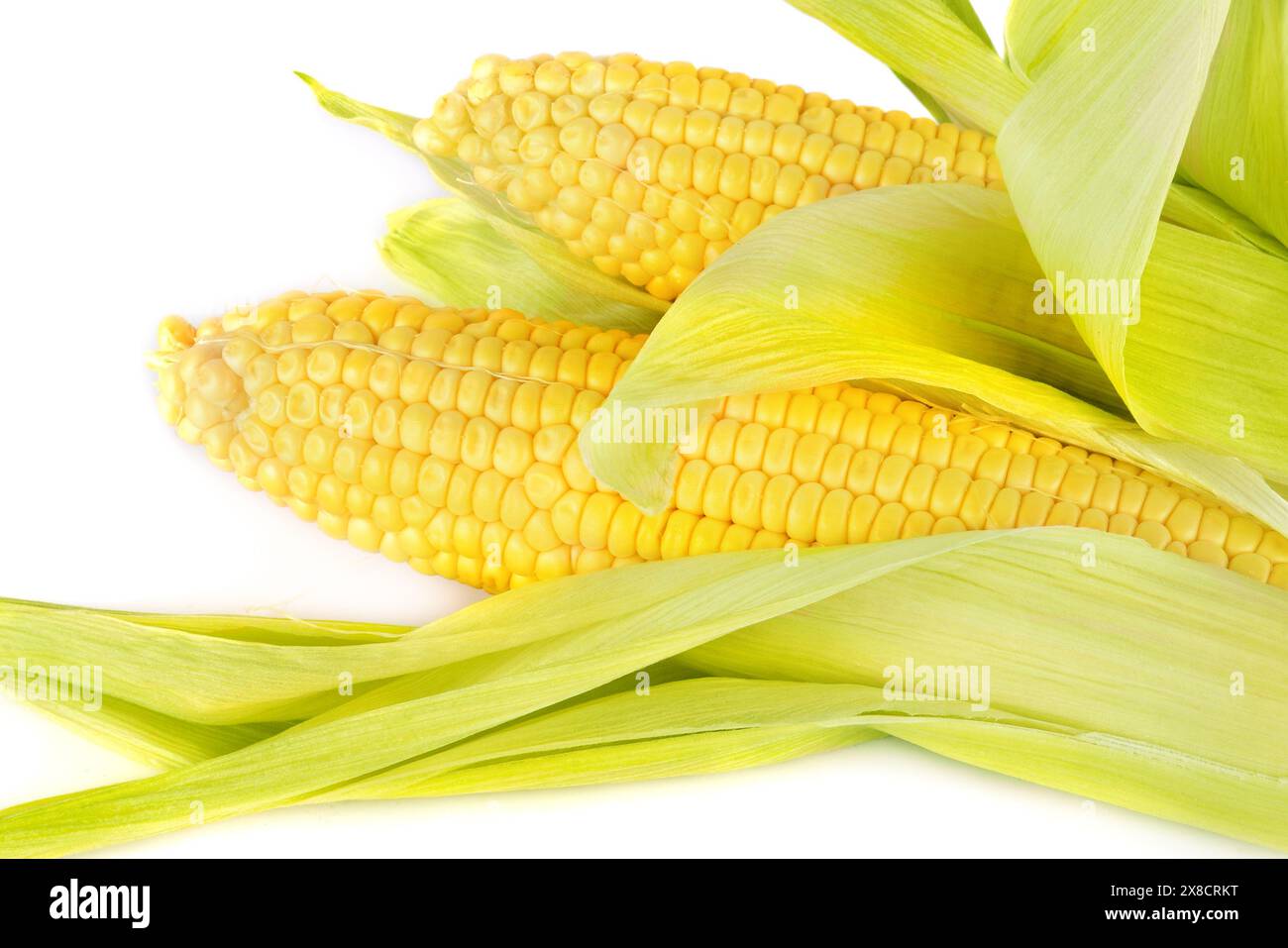 Double sweet corn ears isolated on white background Stock Photo - Alamy