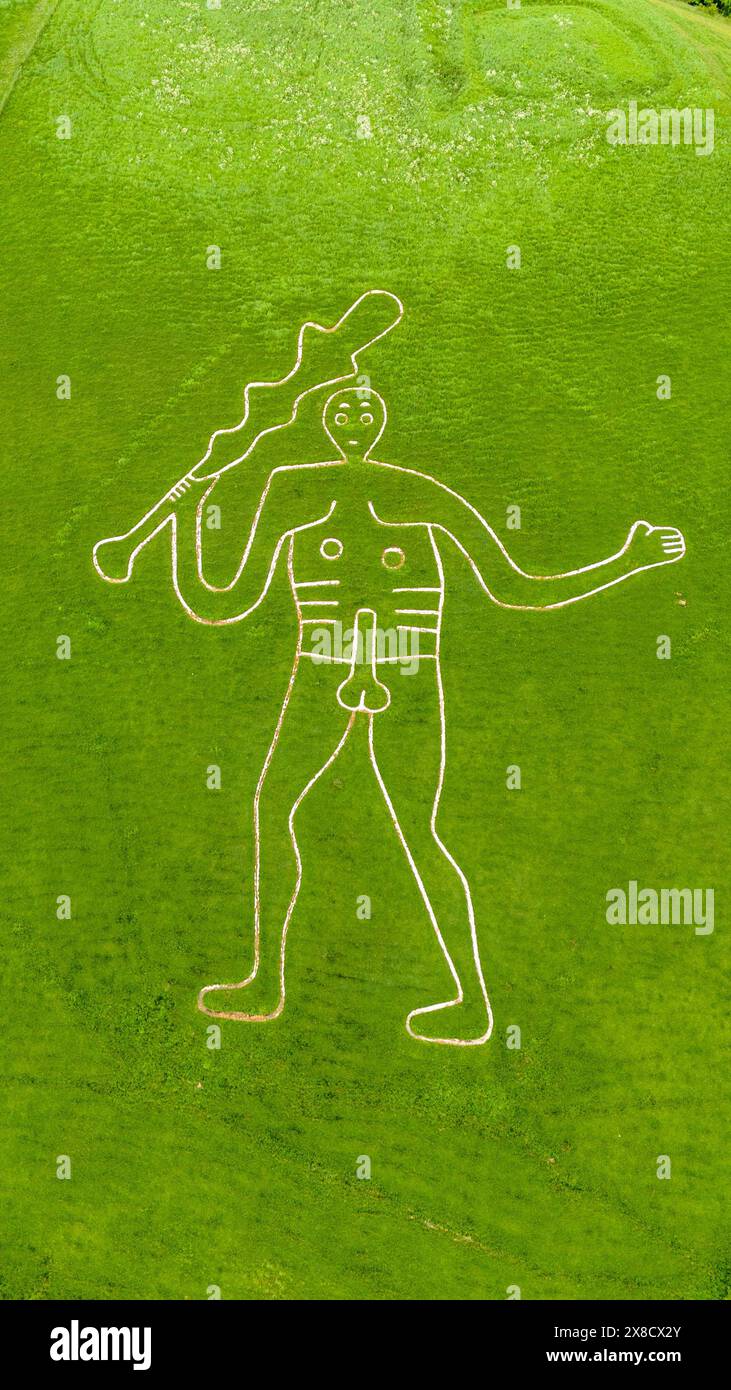Aerial view of the cerne abbas giant, an ancient chalk figure in the ...