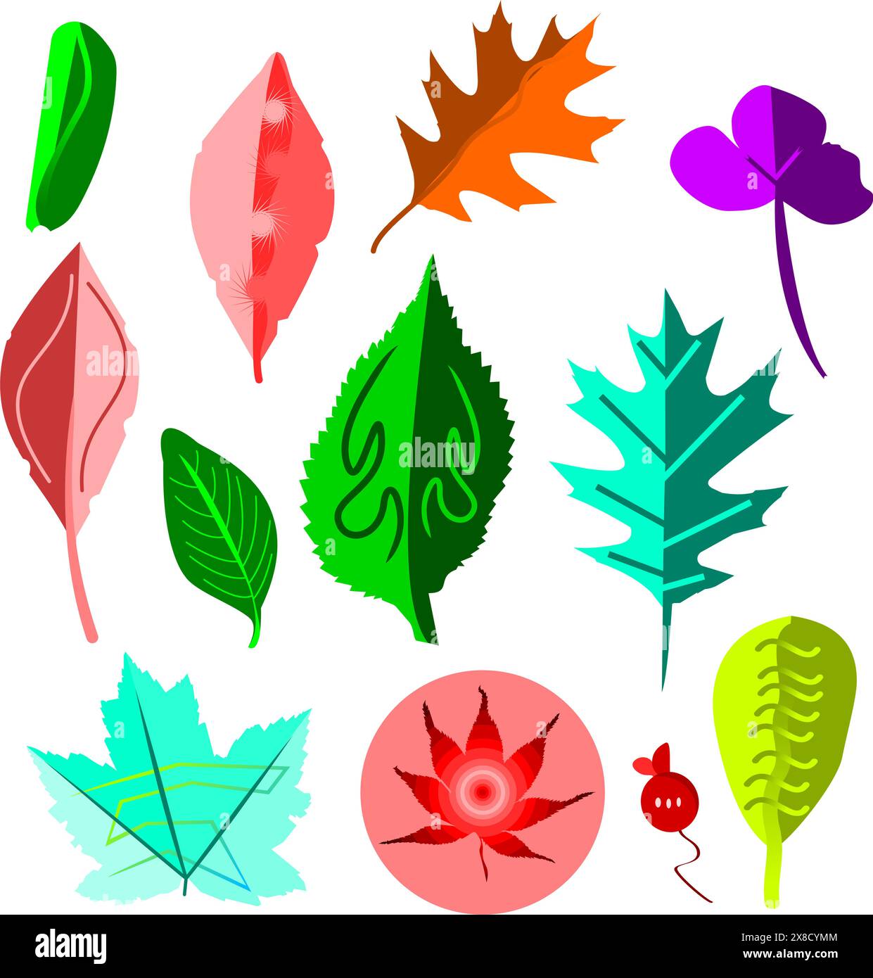 Hand drawn flowers and plants Stock Vector Image & Art - Alamy