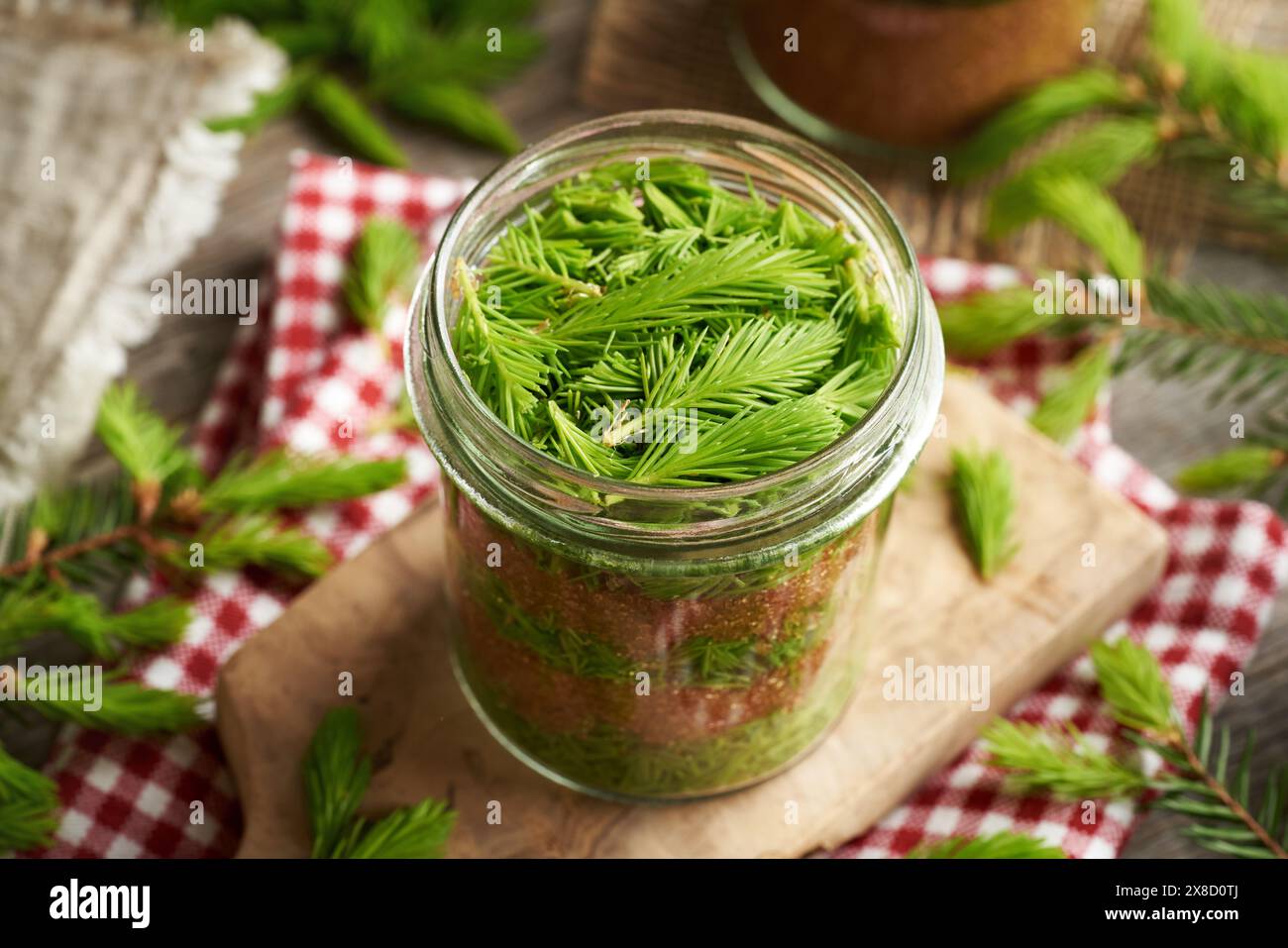 Preparation of herbal syrup from young spruce tips collected in spring ...