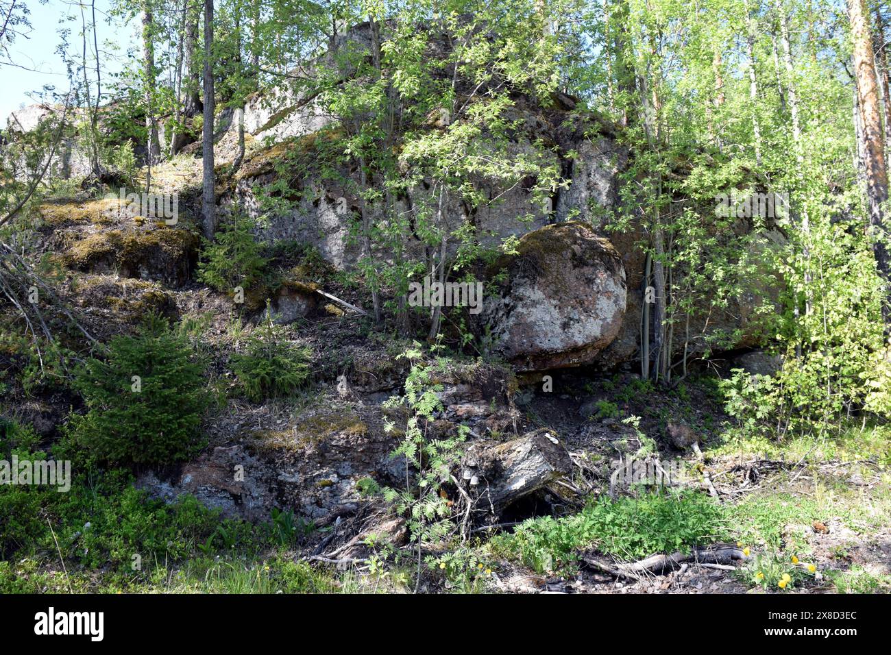 Rock formations in a forest, Finland Stock Photo - Alamy
