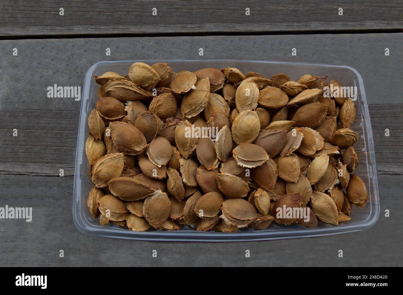 A stack of apricot pits in commercial packaging on the background of an ...