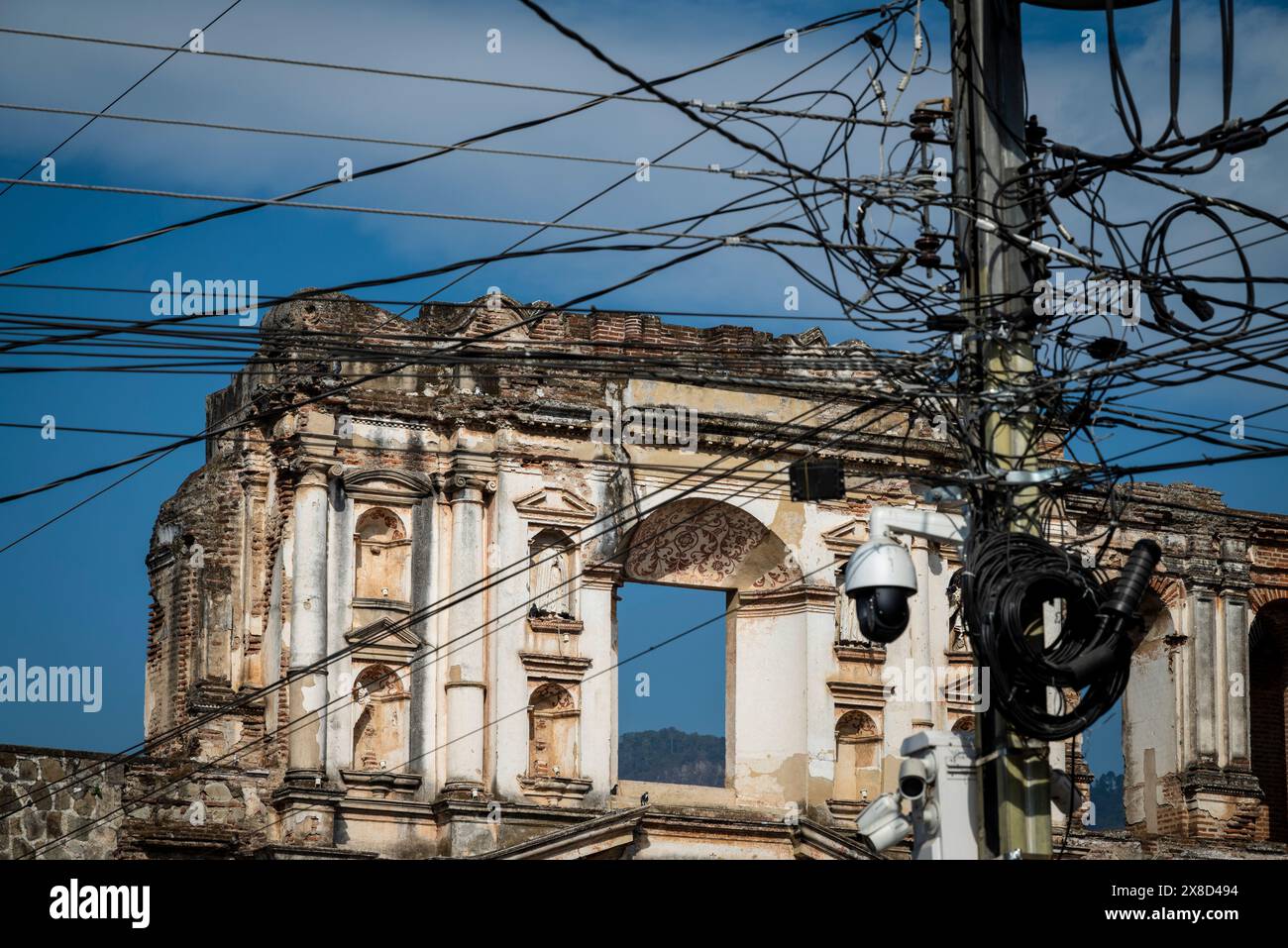 Ruins of The Church and convent of the Society of Jesus and tangled up ...