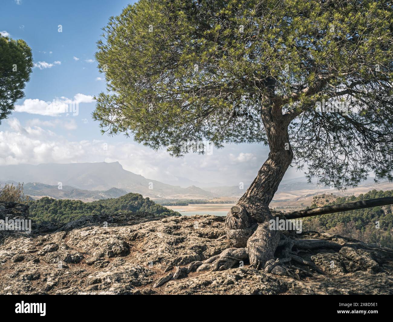Southern Spanish, Andalusian landscape during the summer in the Cerro ...