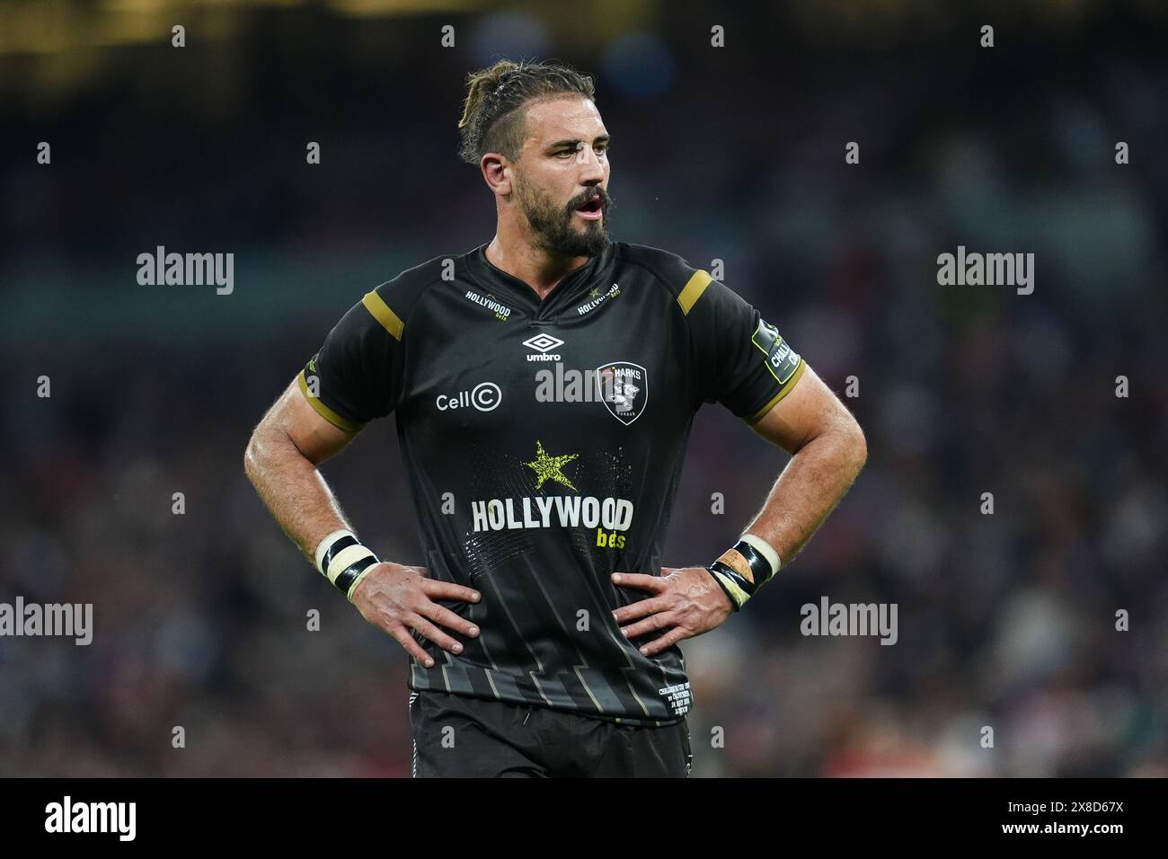 Hollywoodbet Sharks' Gerbrandt Grobler during the EPCR Challenge Cup ...