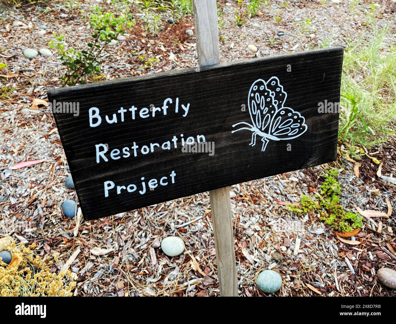 Butterfly restoration project hi-res stock photography and images - Alamy