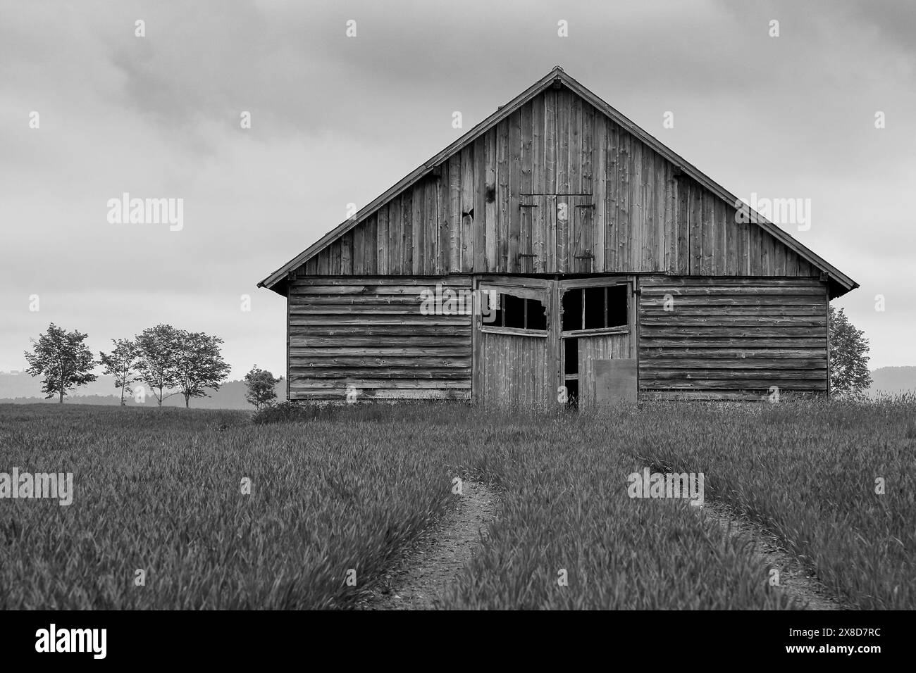 Old wooden barn in black and white surrounded by fields with tire ...
