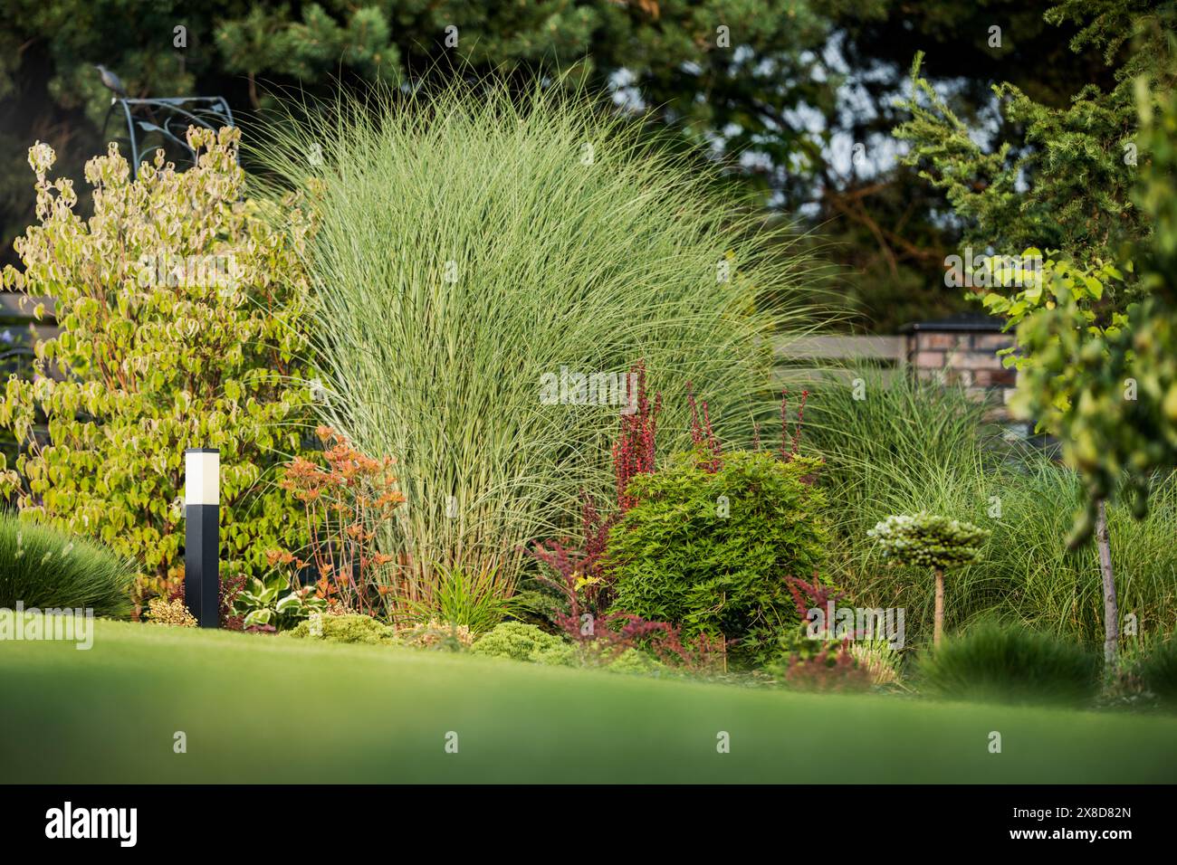 Thriving flora hi-res stock photography and images - Alamy