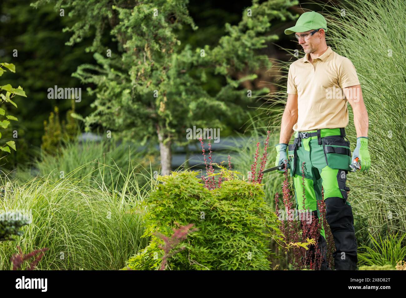 Stands amidst lush greenery hi-res stock photography and images - Alamy