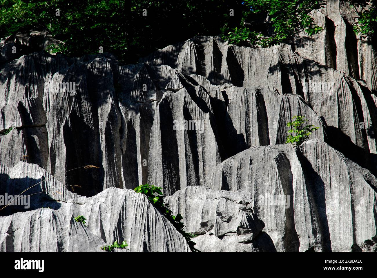 A limestone pavement in the calcareous rock of a karst Stock Photo - Alamy