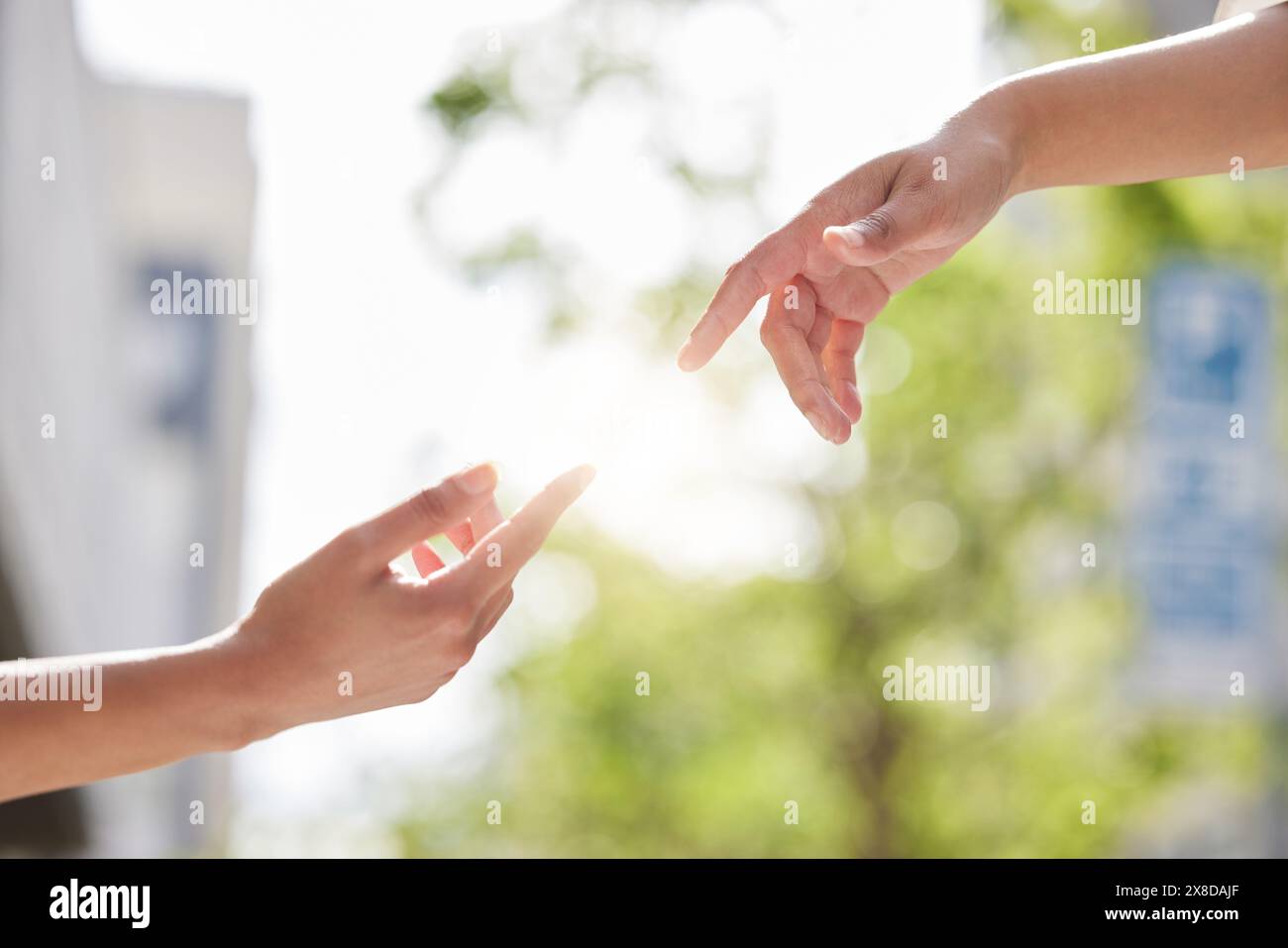 Palms reaching to the sun hi-res stock photography and images - Alamy