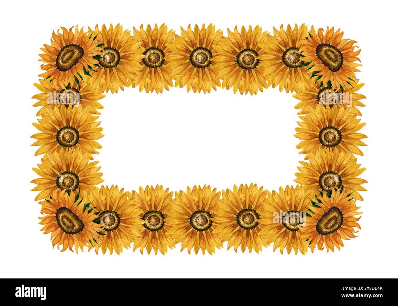 Watercolor sunflowers frame. Rectangular border with yellow flowers ...