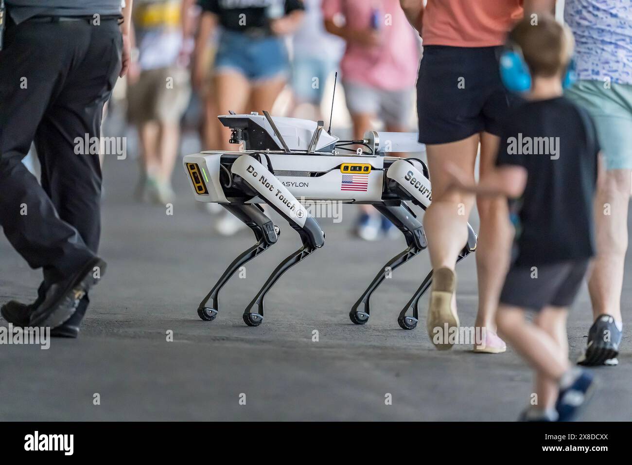 Speedway, In, USA. 24th May, 2024. A robotics drone dog from Asylon ...