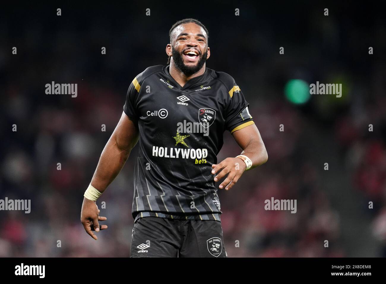 Vincent tshituka sharks hi-res stock photography and images - Alamy