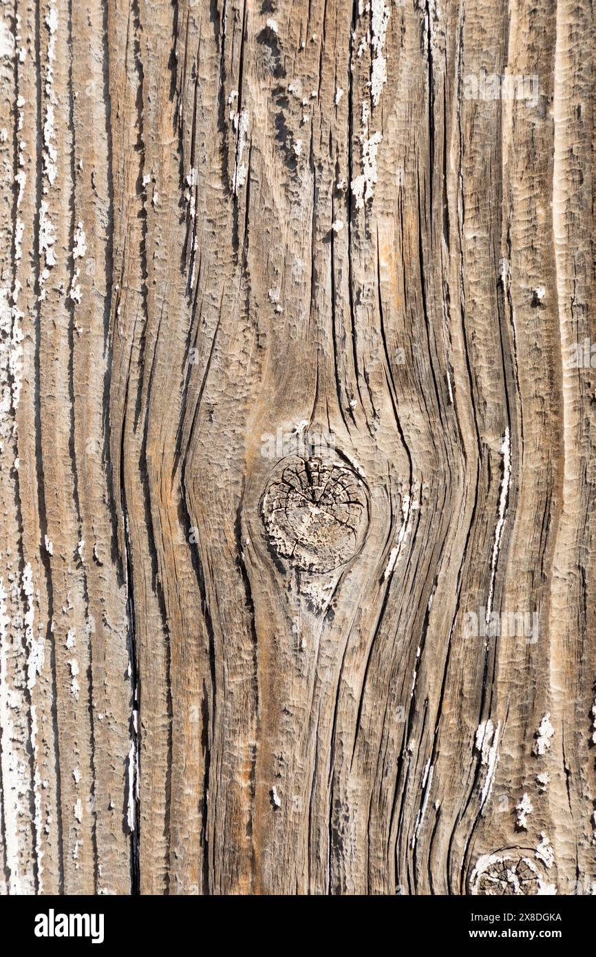 pattern of harmonic textured old rotten wooden wall with peeling white ...