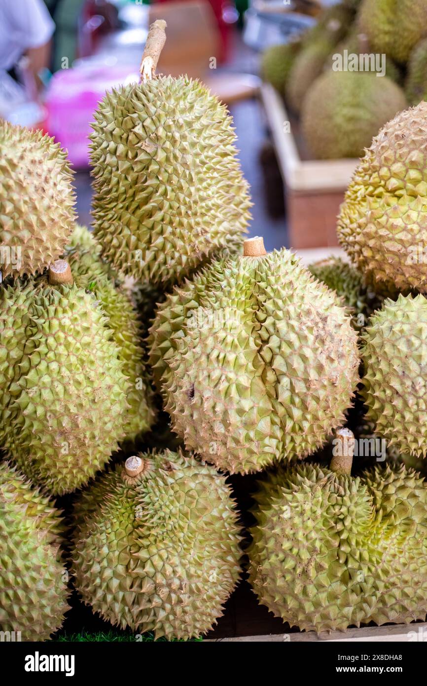 Large spiky durian fruits on a store counter in Asia. Thai fruit market ...