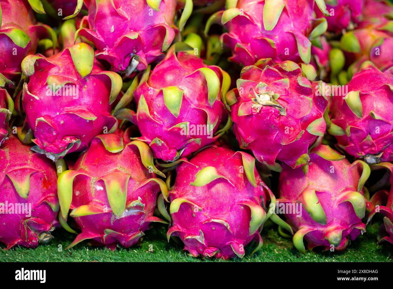 Ripe red dragon fruit fruits on a store counter in Asia. Thai fruit ...