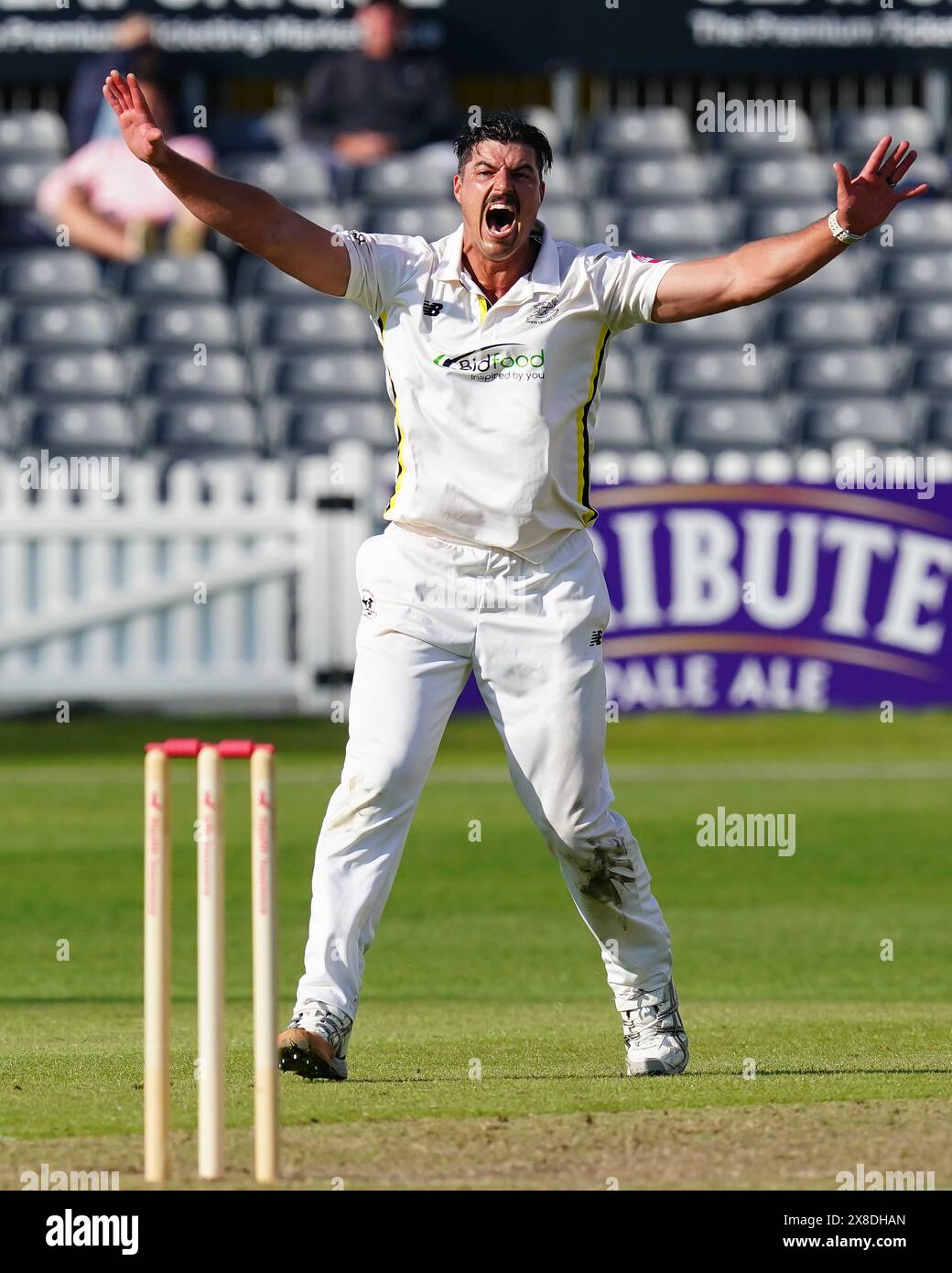 Bristol, UK, 24 May 2024. Gloucestershire's Marchant de Lange appeals ...