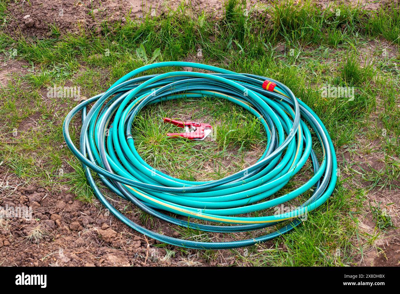 Watering garden hoses for watering rolled into a roll, next to a pipe ...