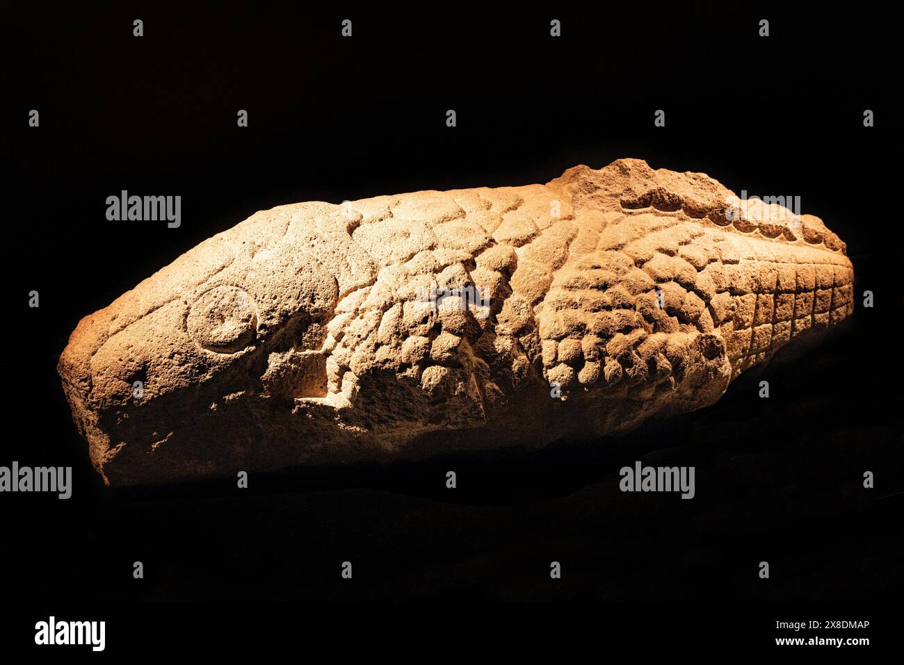 Aztec carving representing Cipactli, The Sea monster or Earth monster ...