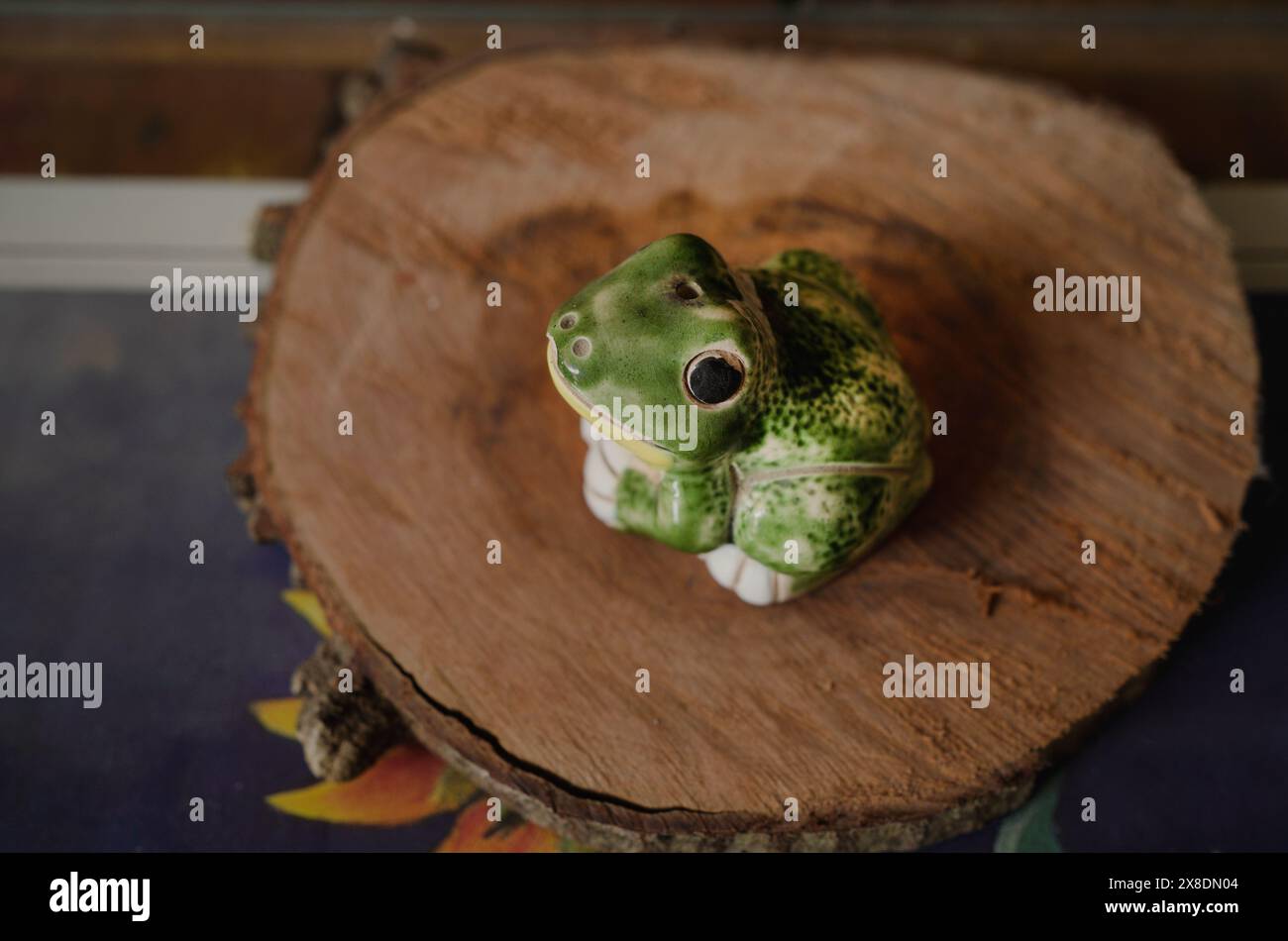Frog top view hi-res stock photography and images - Alamy