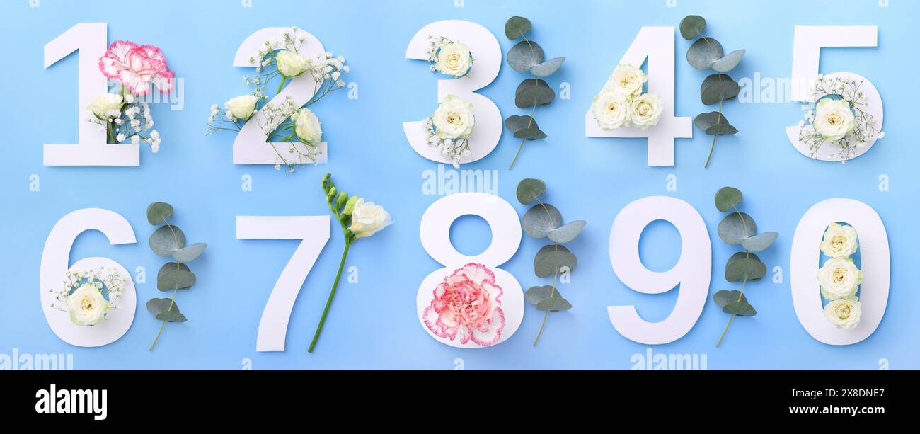 Numbers and beautiful flowers on light blue background, top view ...