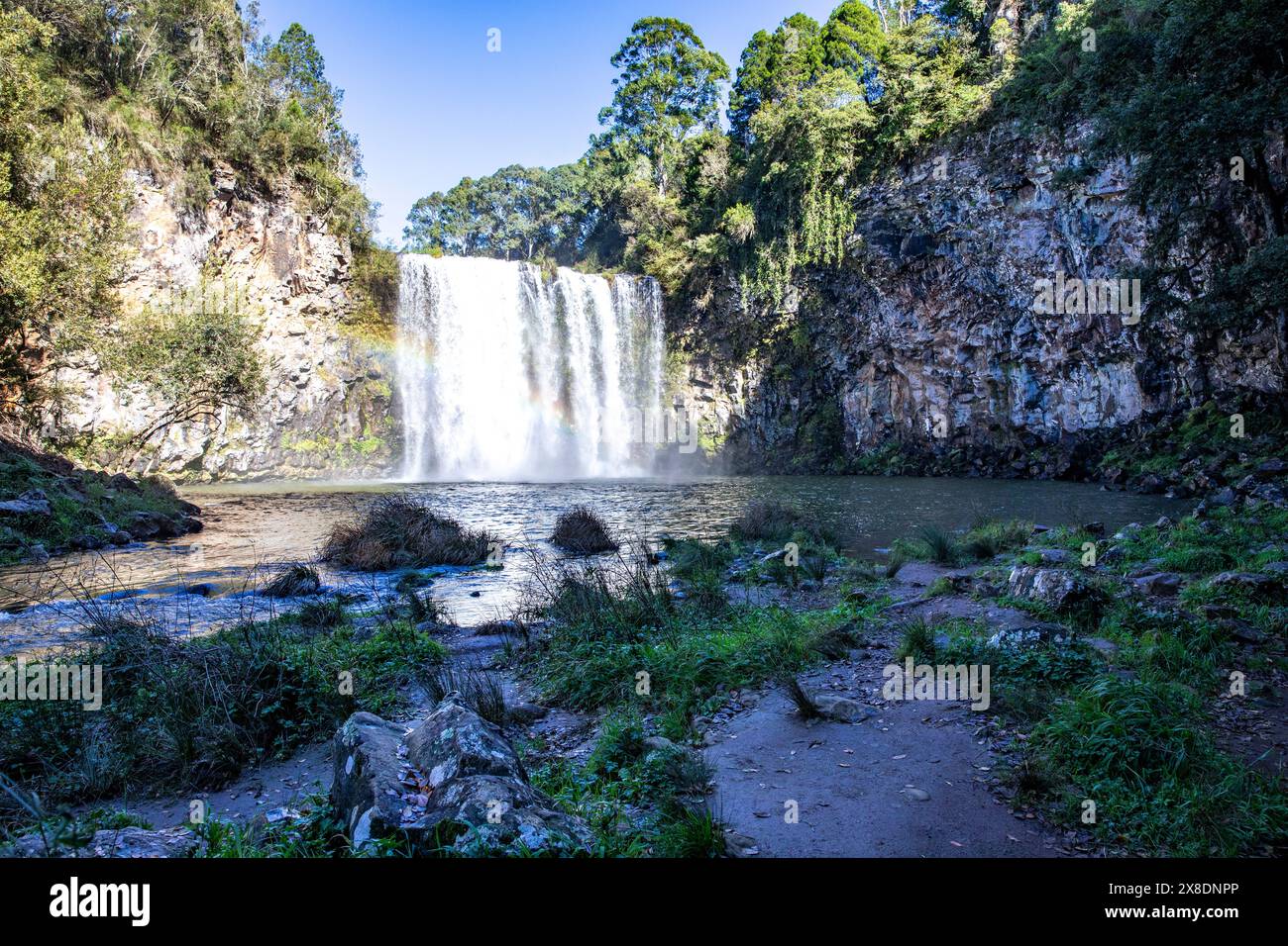 Dangar falls waterfall near Dorrigo on Waterfall Way in regional New ...