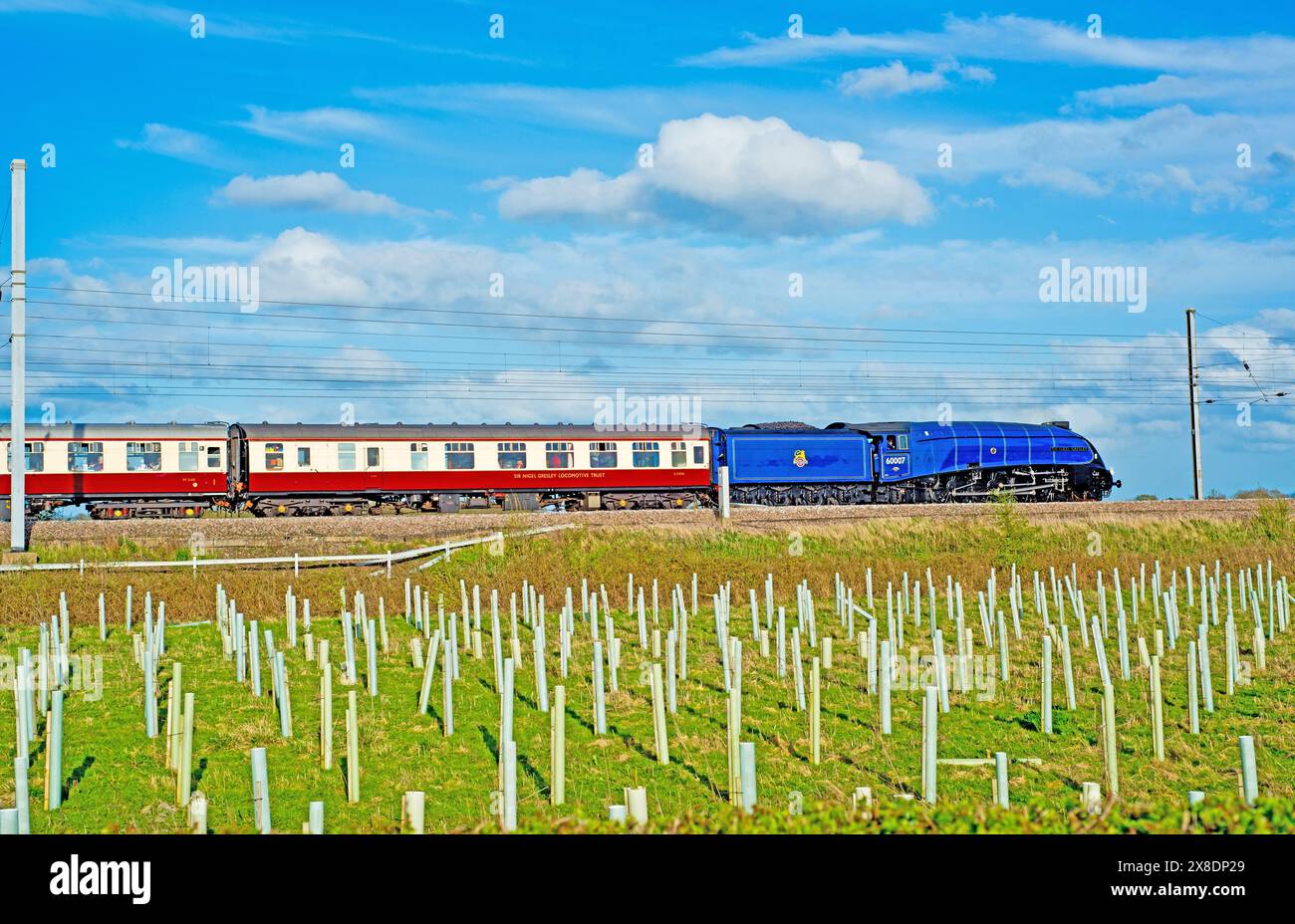 A4 Pacific No 60007 Sir Nigel Gresley at Shipton by Beningbrough, North ...