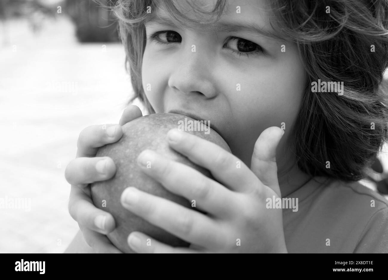 Kid boy eat apple. Healthy nutrition for kids. Fruit snack. Lunch time ...